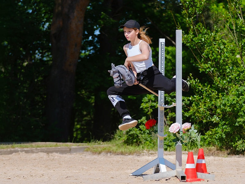 Guide d'achat : choisir son premier hobby horse